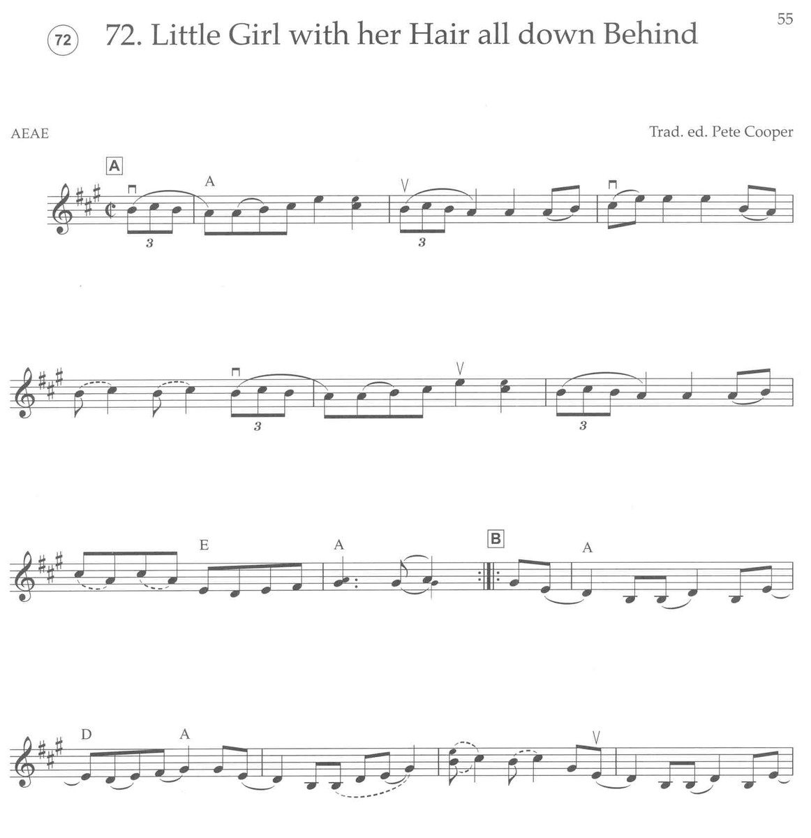 AMERICAN OLD TIME FIDDLE TUNES + CD / housle - Clarina