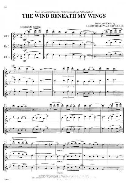 Warner Bros. Publications CLASSIC POP SOLOS for FLUTE (solos / duets ...