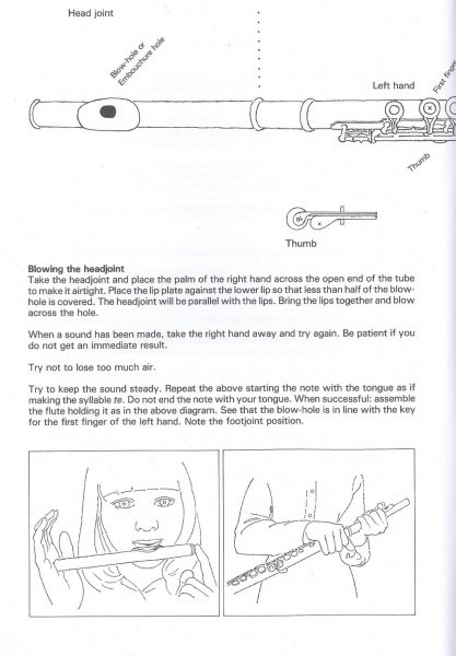 TREVOR WYE: Beginner's Book for the Flute 1 + CD / škola hry na příčnou ... TREVOR WYE: Beginner's Book for the Flute 1 + CD / škola hry na příčnou ...
