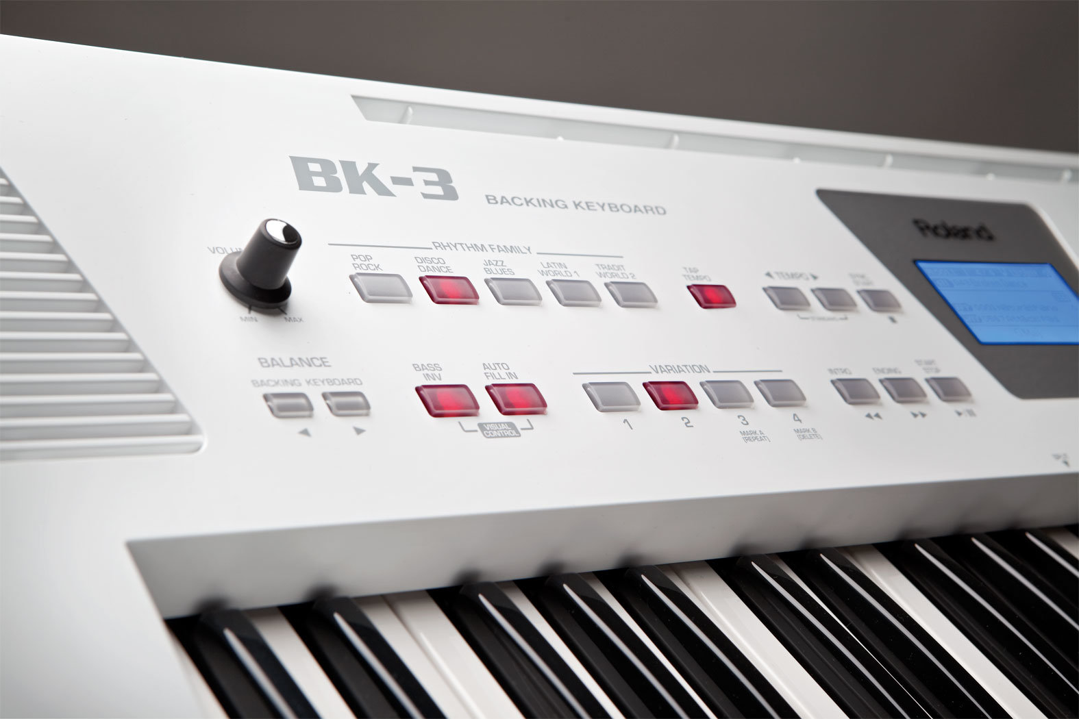 Roland BK-3 WH - Backing Keyboard - Clarina